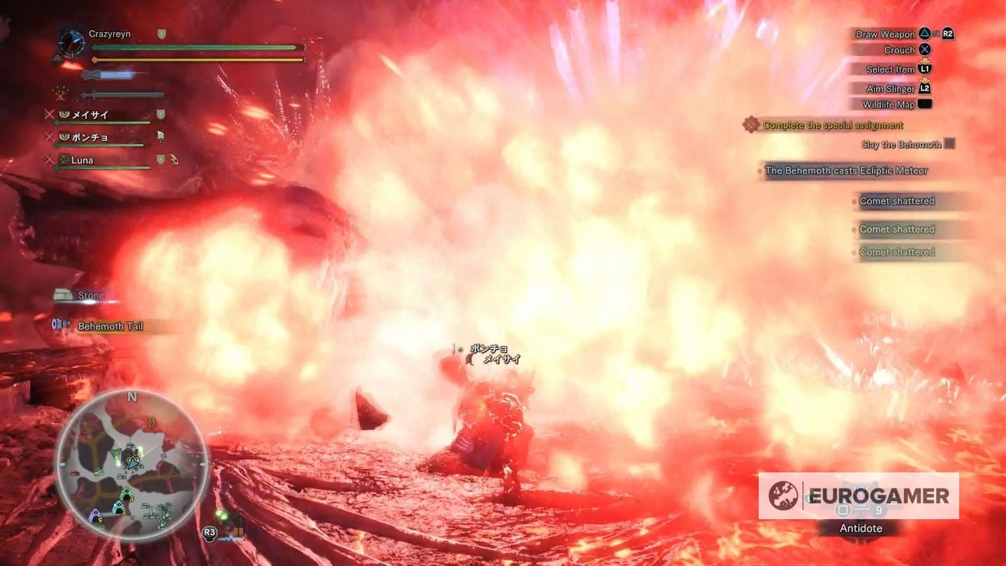 Monster Hunter World Behemoth strategy, Behemoth weakness explained | Eurogamer.net